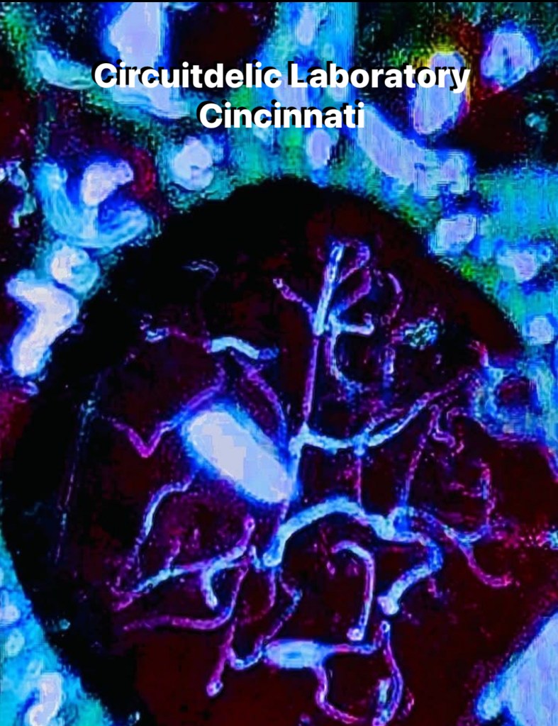 🌀 Circuitdelic Laboratory – Circuitdelic Laboratory