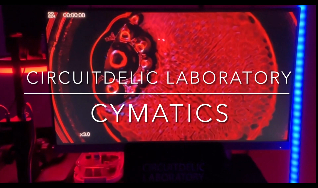 Cymatics: Bubble Resonance - Circuitdelic Laboratory