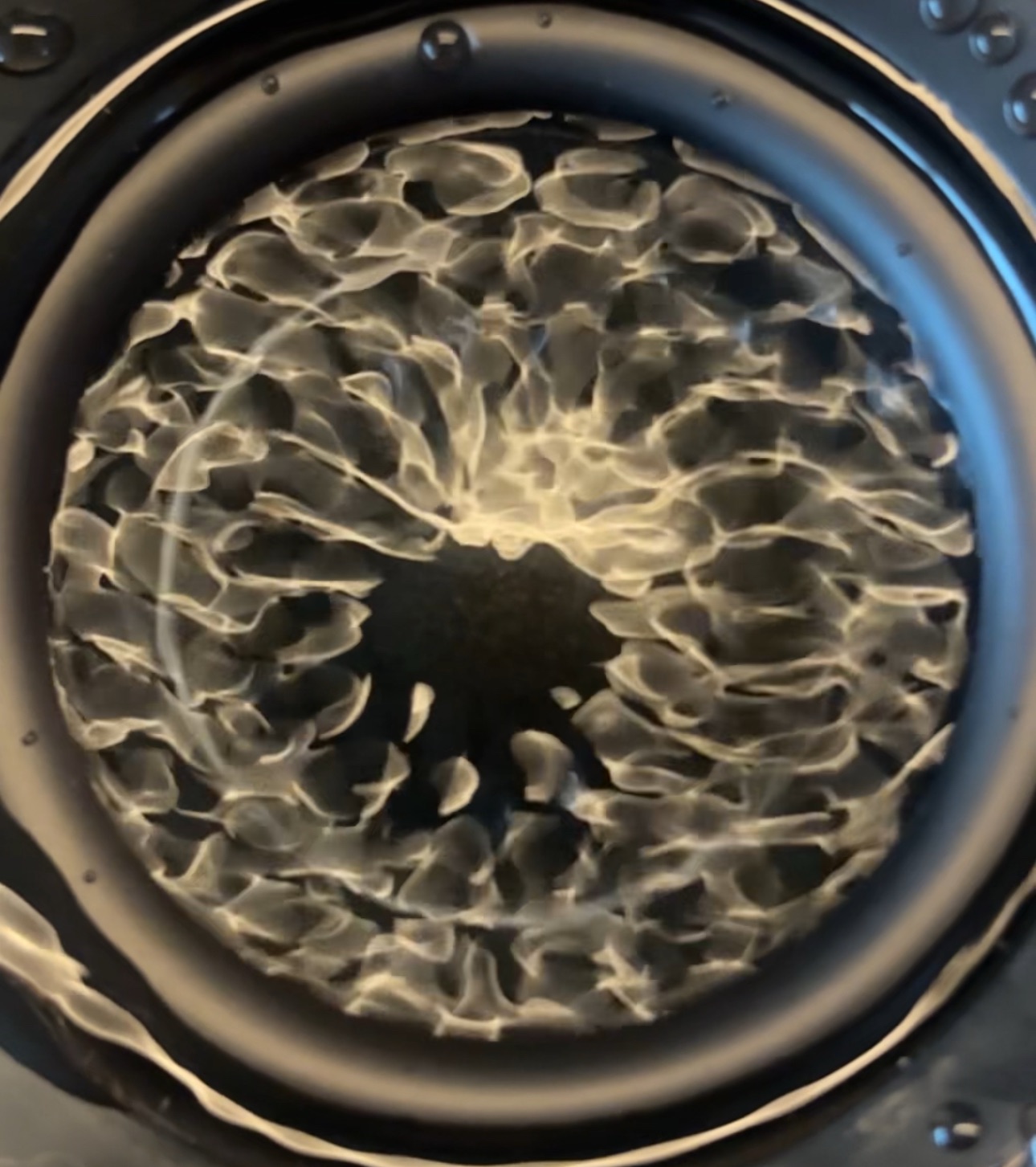 Cymatics Gear Upgrade - Circuitdelic Laboratory