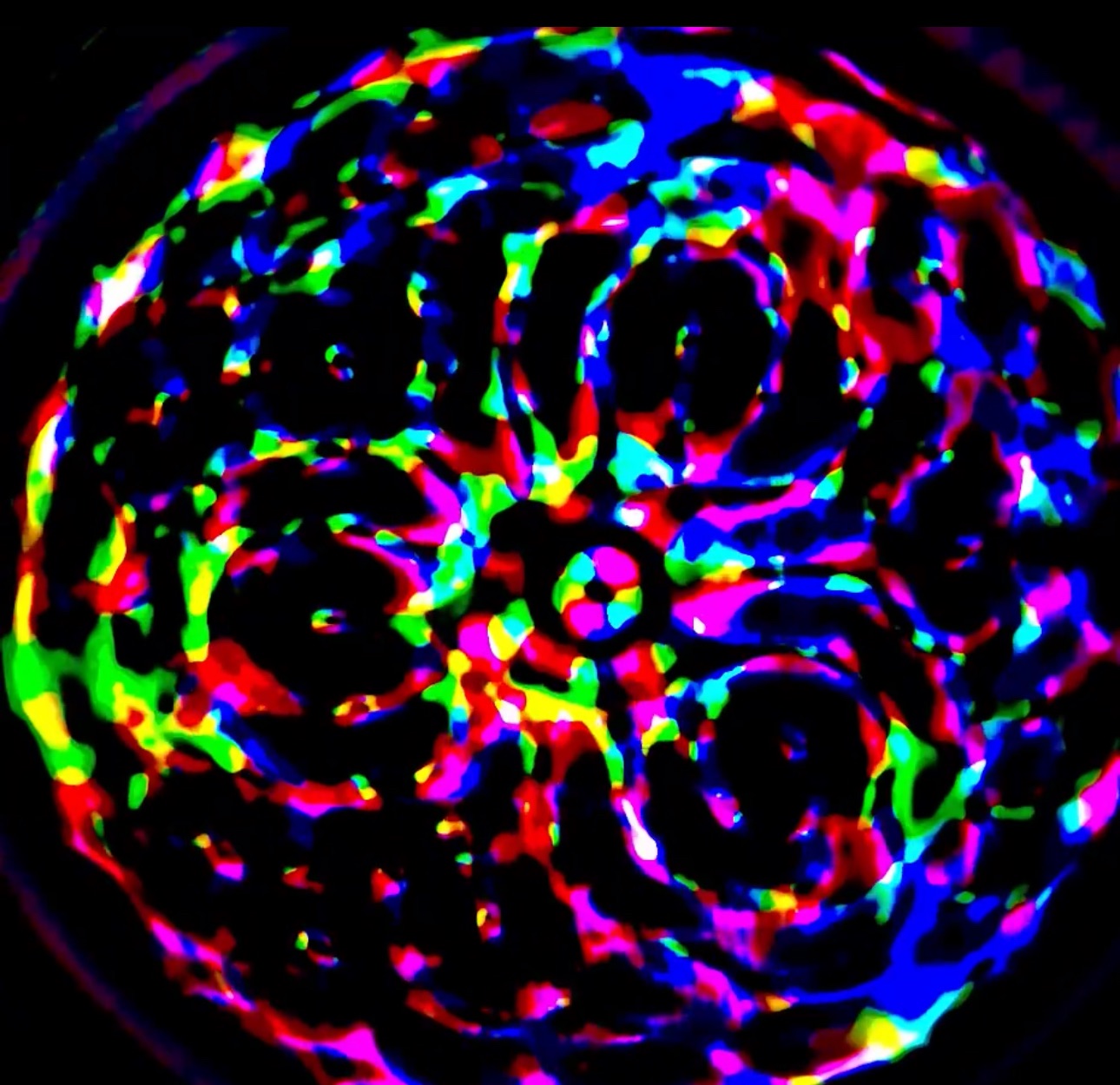 Circuitdelic Cymatic Wheel - Circuitdelic Laboratory