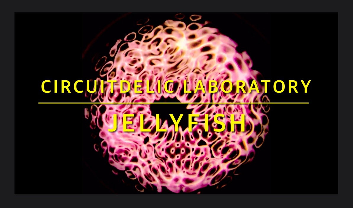 Jellyfish - Circuitdelic Laboratory
