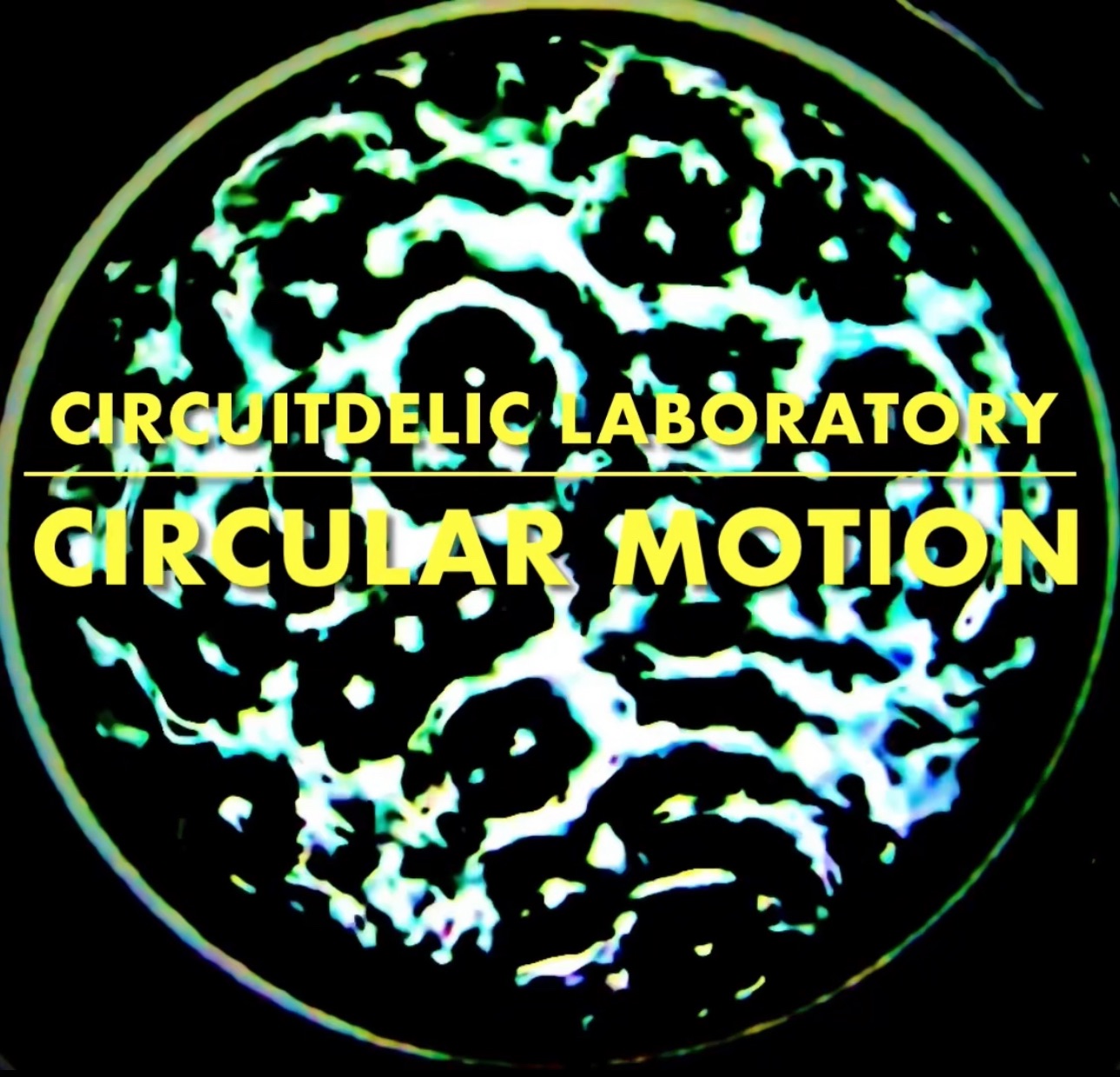 Circular Motion - Circuitdelic Laboratory