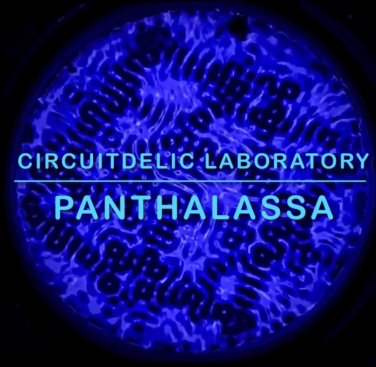 Panthalassa - Circuitdelic Laboratory