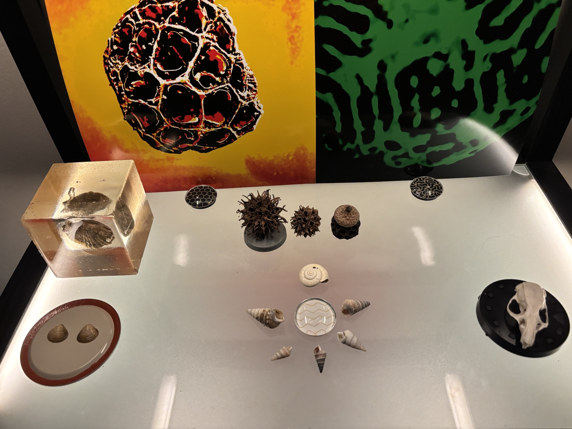 Circuitdelic Museum - Circuitdelic Laboratory