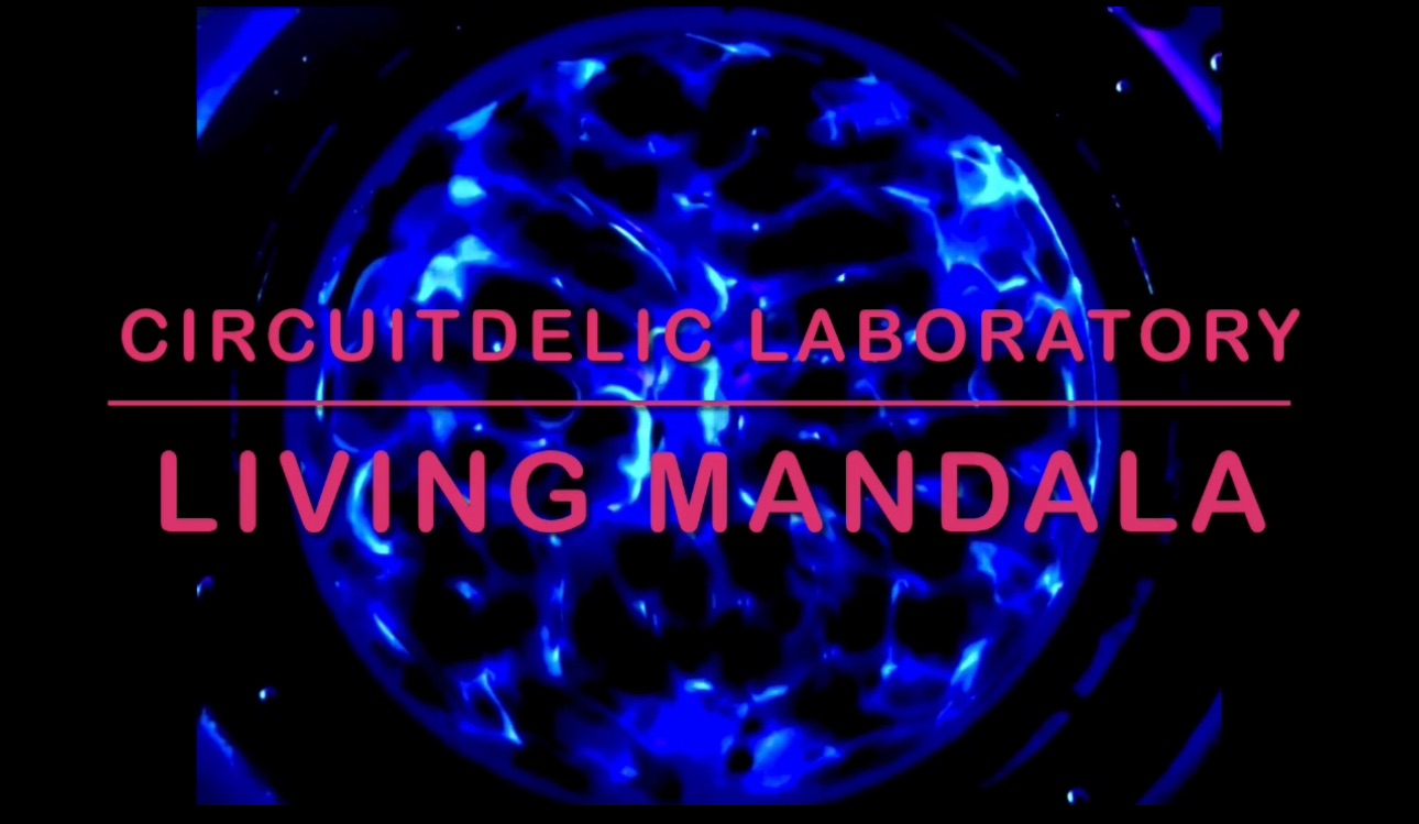 Living Mandala - Circuitdelic Laboratory